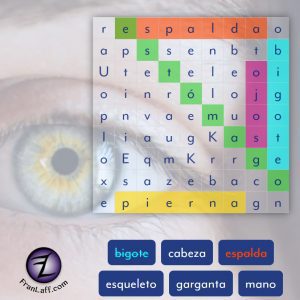 Body in Spanish – FranLaff.com