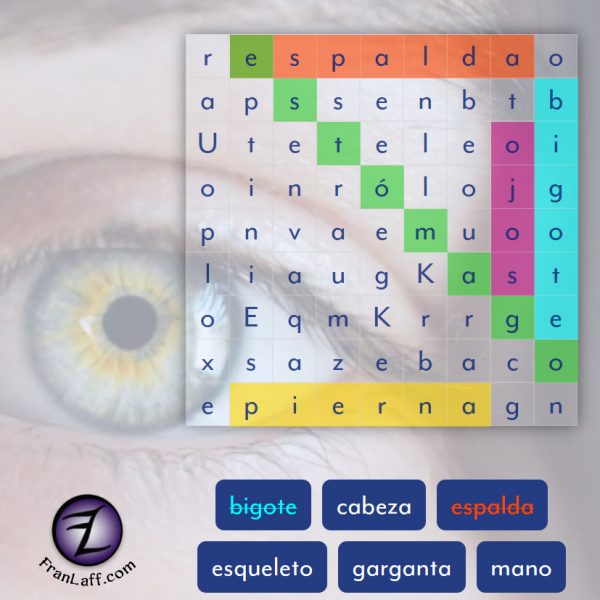 Body in Spanish – FranLaff.com