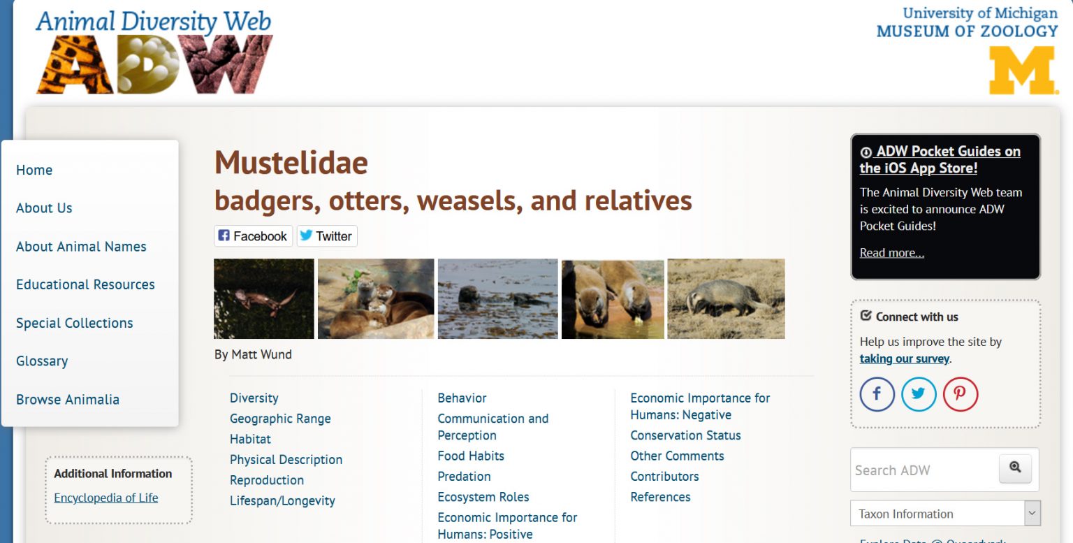 Animal Diversity Web – FranLaff.com