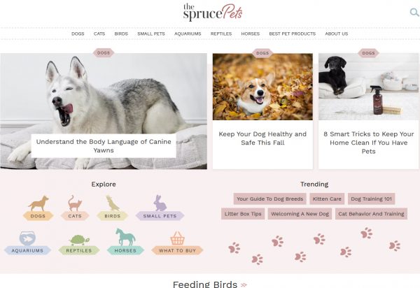 The Spruce Pets – FranLaff.com