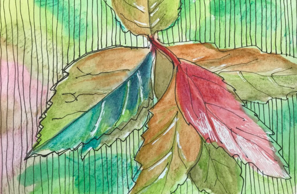 Intermediate Cursive – FranLaff.com