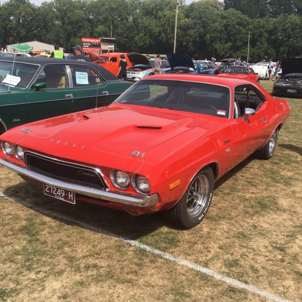 Elementary MATH Pack 2 – FranLaff.com