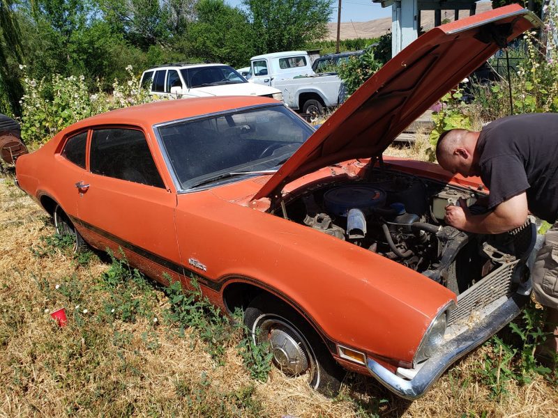 First Year Cursive: ABeka style font – FranLaff.com