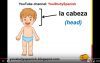 Body in Spanish – FranLaff.com