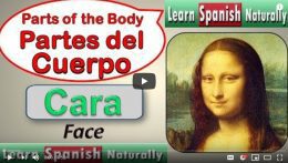 Body in Spanish – FranLaff.com