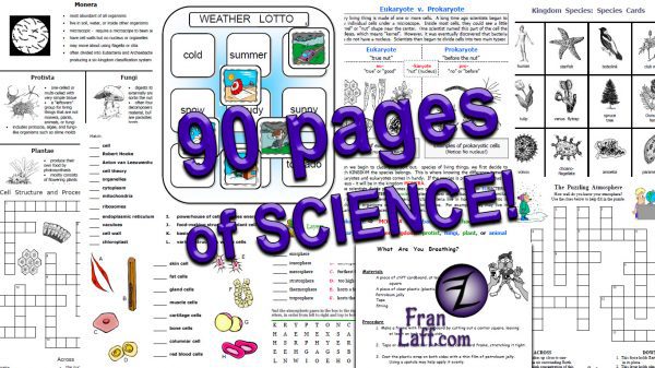 90 pages of SCIENCE! – FranLaff.com
