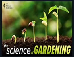 Gardening – FranLaff.com